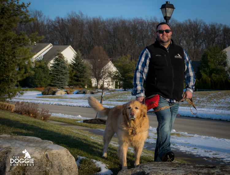 Dog Walking Accessory Bag – WoofPackTrails